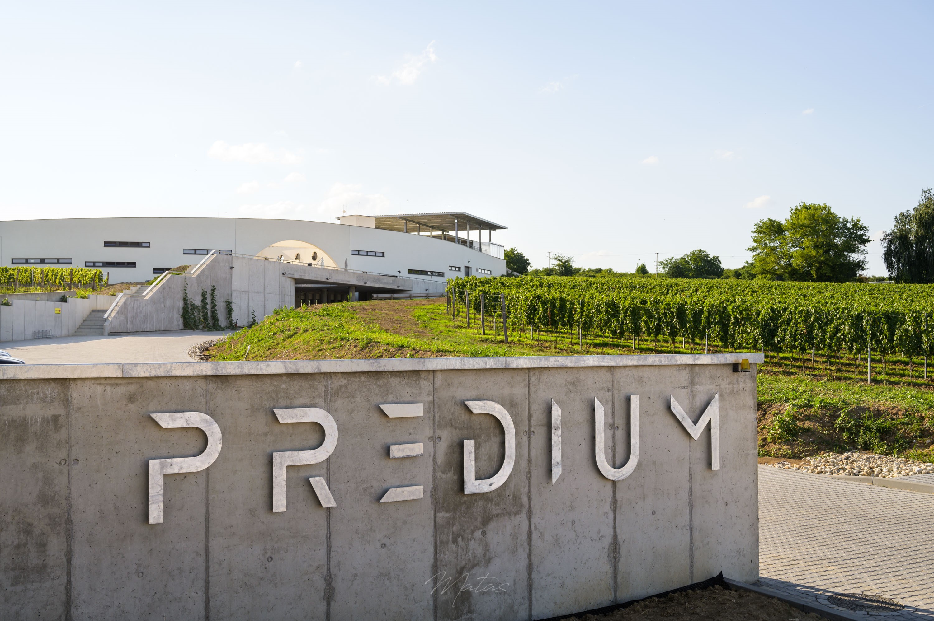 Get to Know Predium Vráble Winery | GoGo.wine