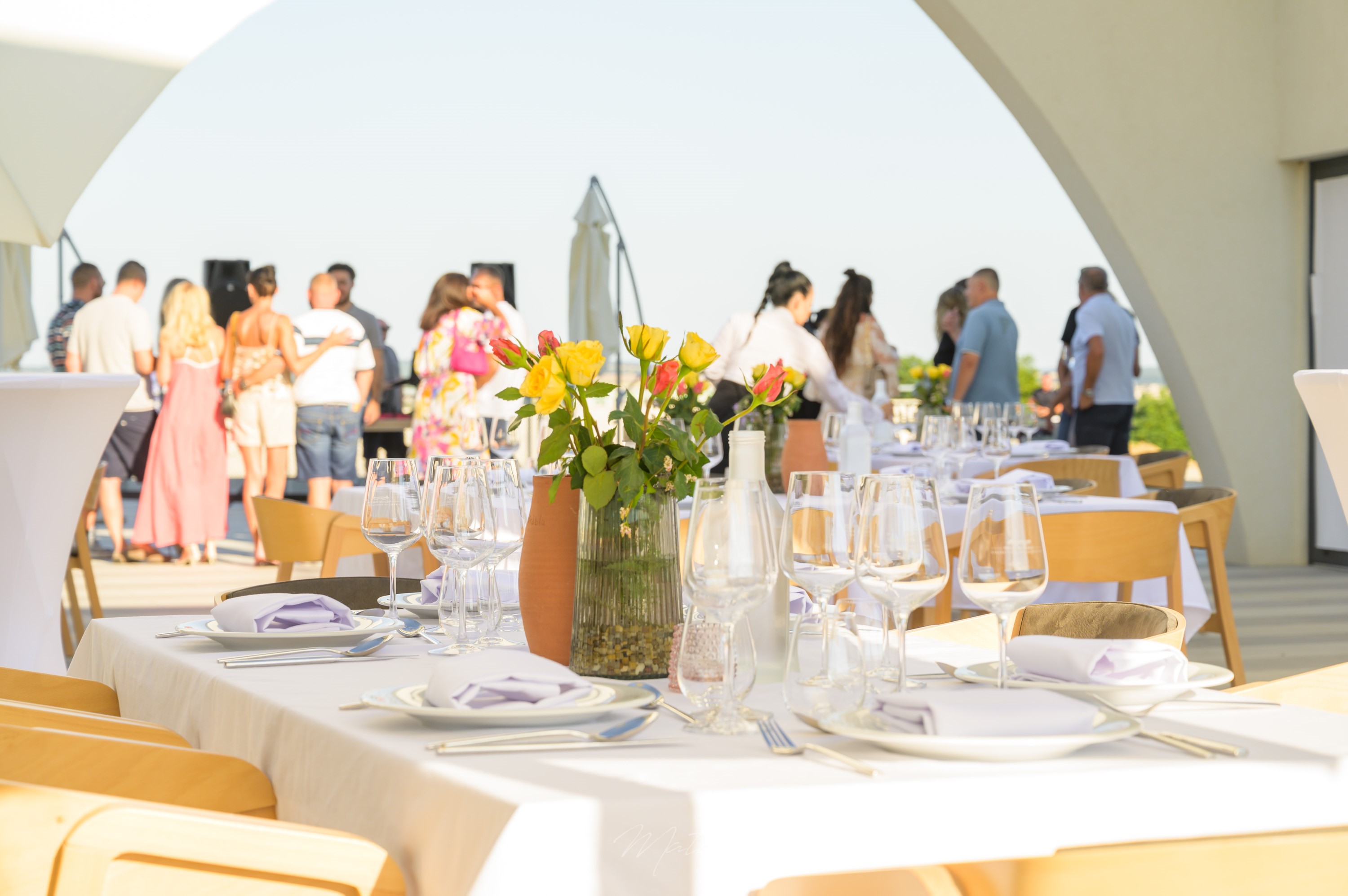 Predium Vráble - wine tastings and tours | GoGo.wine